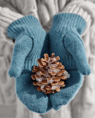 Cashmere Ribbed Mittens | Garnet Hill