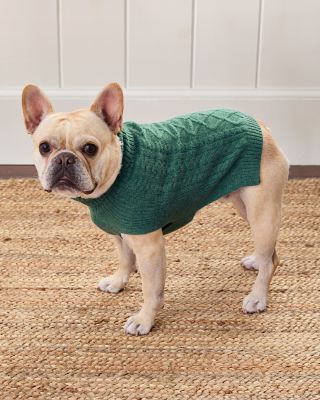 Washable-Cashmere Dog Sweater | Garnet Hill